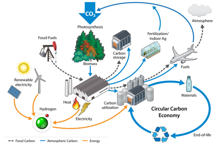 Muhammad Nabiil, Mahasiswa Institut Pertanian Bogor Multiusaha Kehutanan Bio-Based Circular ...