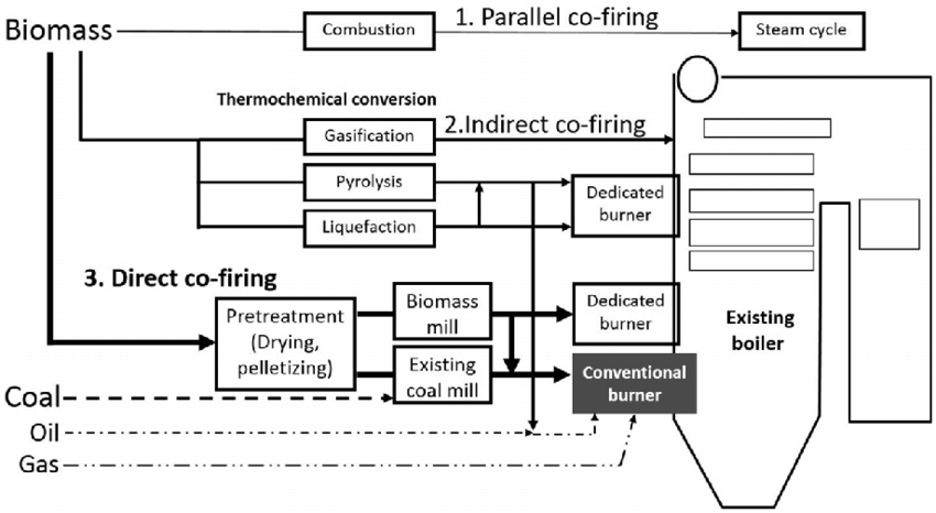 Strategi Sustainability: Teknologi Co-firing & Ekonomi Sirkular di ...