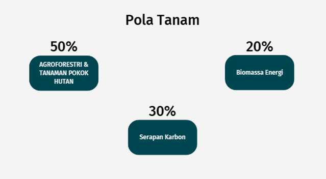 Muhammad Nabiil, Mahasiswa Institut Pertanian Bogor Multiusaha Kehutanan Bio-Based Circular ...