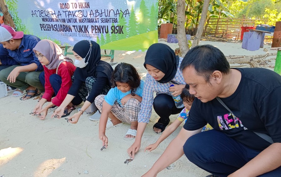 Upaya Konservasi Penyu dan Mangrove di Pulau Sabira