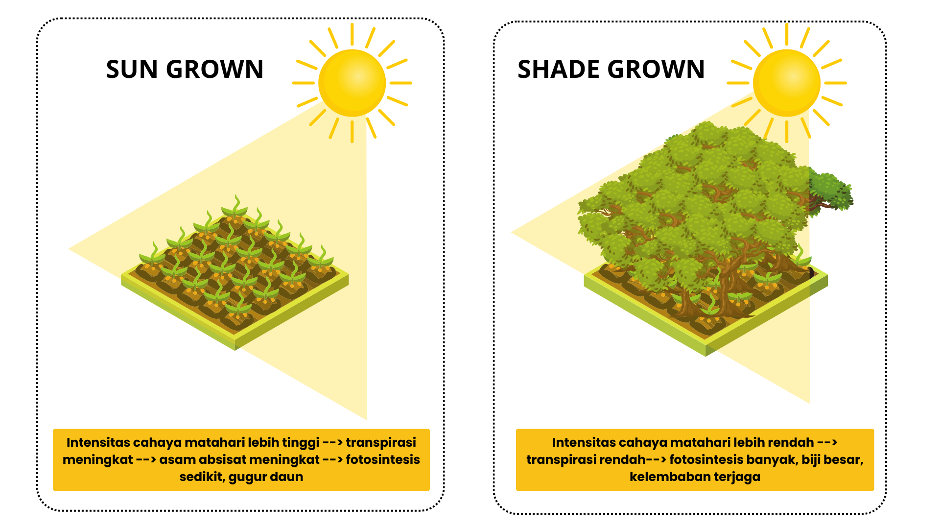 CANOPI (Coffee Agriculture Nourished by Optimized Photovoltaic Integration)