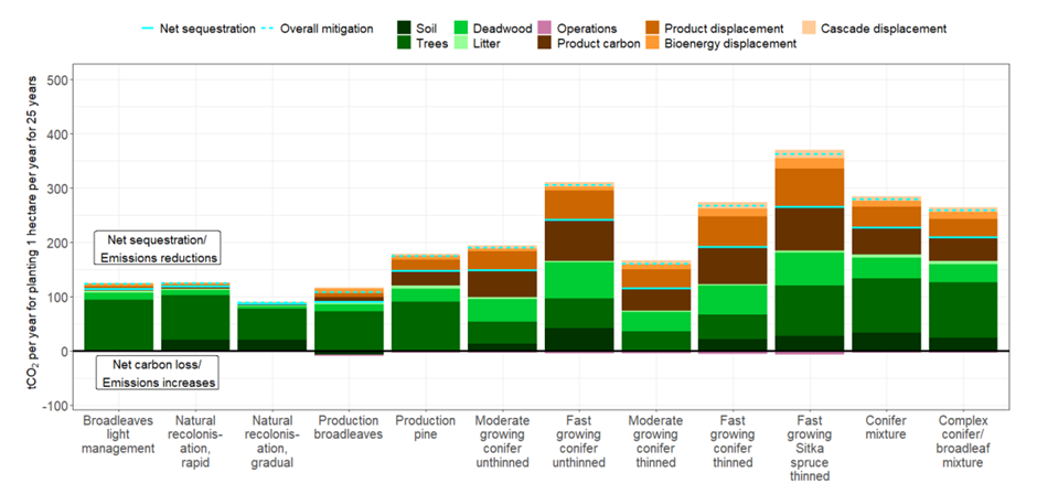 Muhammad Nabiil, Mahasiswa Institut Pertanian Bogor Multiusaha Kehutanan Bio-Based Circular ...