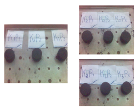 Ardi, Siswa SMKN 1 SUAK TAPEH Efektivitas Alat Press Hidrolik Manual ...