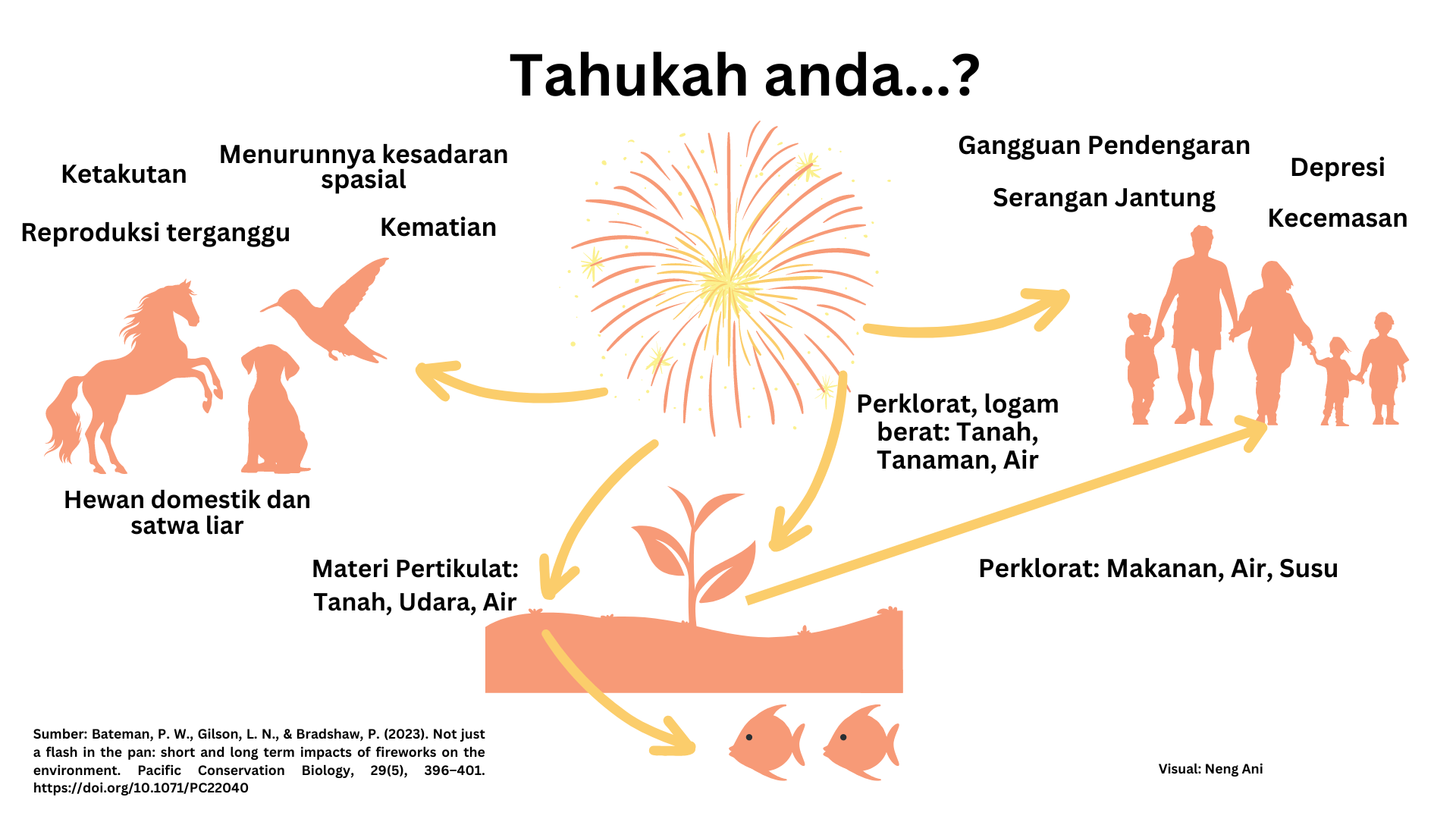 Sisi Lain Keindahan Kembang Api: Gunakan Kembang Api Ramah Lingkungan